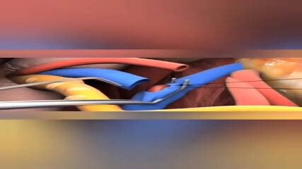 Free Tiana Lynn Porn Star Videos Page