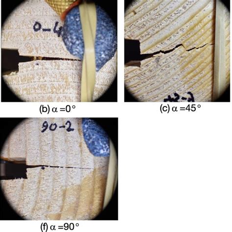 Crack Propagation Pattern At Different End Grain Angles Download Scientific Diagram