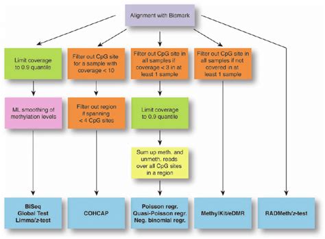 Overview Of The Applied Preprocessing Steps And Approaches