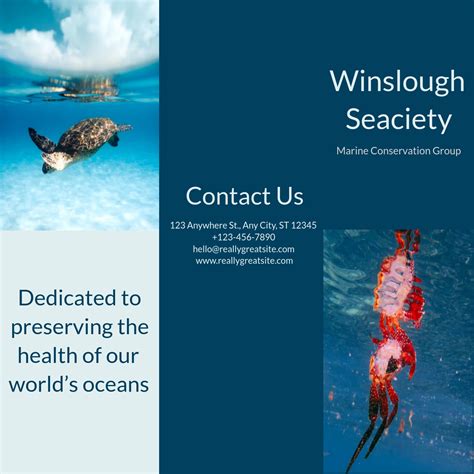 Blue Ocean Conservation Group Trifold Brochure Environmental