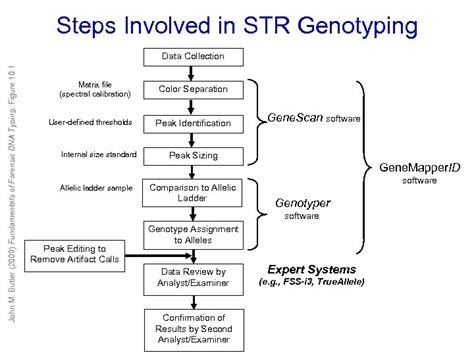 Chapter STR Typing And Data Interpretation Fundamentals