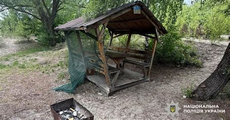 Самовільно захопив земельну ділянку та влаштував зону відпочинку у Києві судитимуть