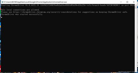chromedriver安装教程（简洁版） csdn博客