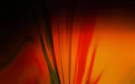 29592792 Flame Grass Vector Images Depositphotos