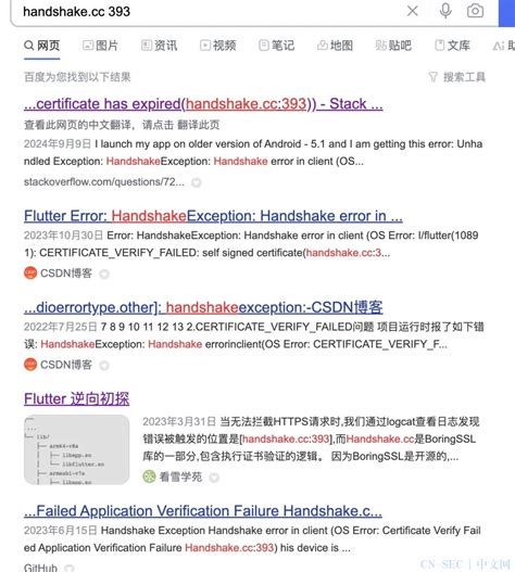 flutter框架app绕过ssl验证 cn sec 中文网