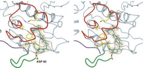 Novobiocin Binding The Novobiocin Molecule In Blue Lies At The Entry