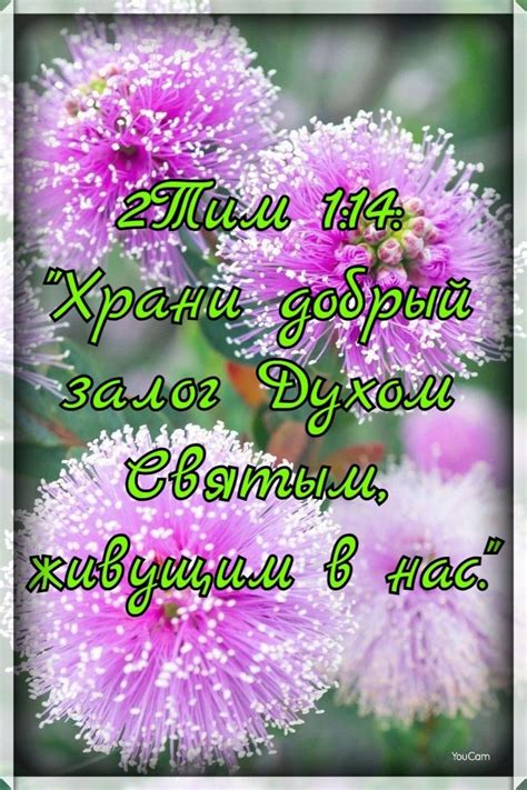 Pinterest Библейские цитаты Библейские стихи Библия