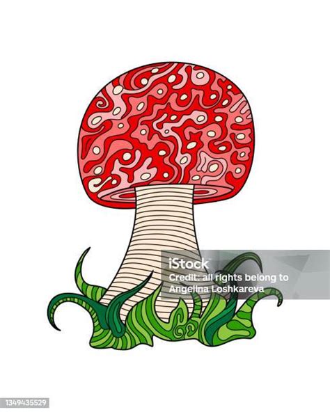 버섯 낙서의 손 스케치 가을 숲 식물의 벡터 스케치 인쇄 라벨 로고 포장 템플릿 배지 책 색칠 공부를위한 디자인 요소 Boletus에 대한 스톡 벡터 아트 및 기타 이미지