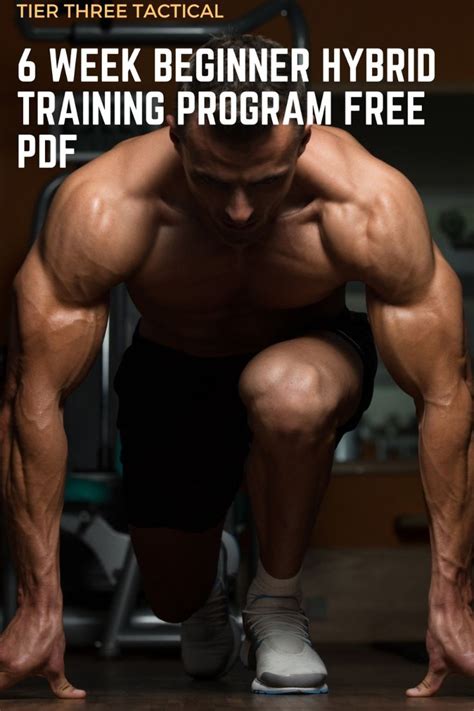 6 Week Beginner Hybrid Training Program Free Pdf Tier Three Tactical
