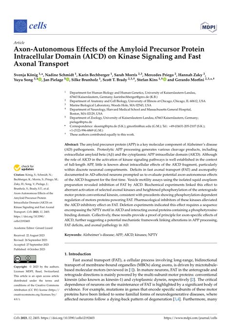 Pdf Axon Autonomous Effects Of The Amyloid Precursor Protein