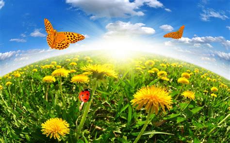 Beautiful Day Wallpaper Wallpapersafari
