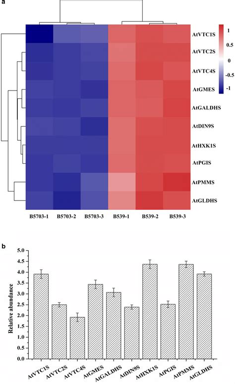 Protein Expression Analysis At Jessie Ramirez Blog