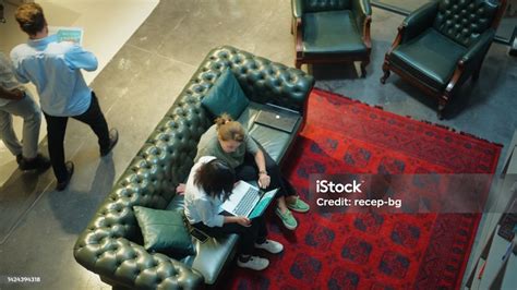 소파에 앉아 현대적인 사무실 작업 공간에서 노트북으로 함께 일하는 두 명의 사업가의 고각보기 20 24세에 대한 스톡 사진 및 기타 이미지 Istock