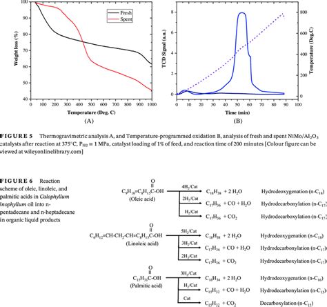 Shows The Formation Of CO CO 2 And Other Gases In The Gas Product Download Scientific
