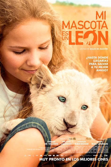 Peliculas Issue 1 MarcoBravoG Iptv Bloq GitHub