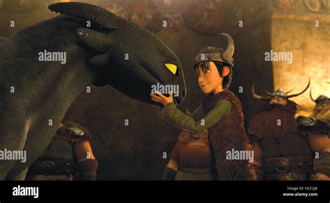 T Of The Night Fury Hiccup