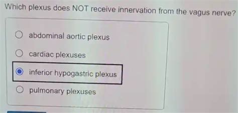 Which Plexus Does Not Receive Innervation From The Vagus Nerve