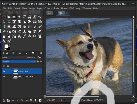 No Way To View The Dimensions Of A Layer At A Glance In Gimp