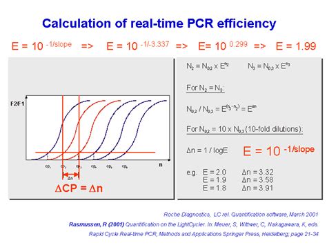 Real Time Pcr Diagram