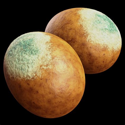 animated procedural mold material blender tutorial tutorials tips