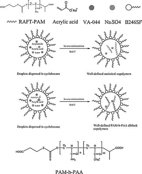 Synthesis Of Well‐defined Statistical And Diblock Copolymers Of Acrylamide And Acrylic Acid By