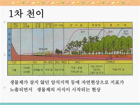Ppt 생태계의 정의 Powerpoint Presentation Free Download Id7002551