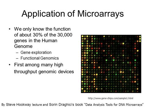 Dna Chips And Their Analysis Comp Ppt Download