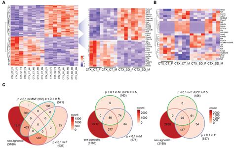 Frontiers Sex Specific Regulation Of The Cortical Transcriptome In Response To Sleep Deprivation