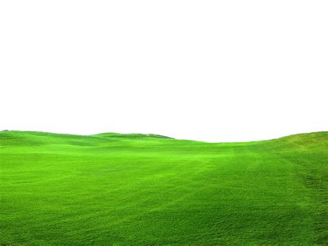 Grass Background Green Grass Background Plains Landscape