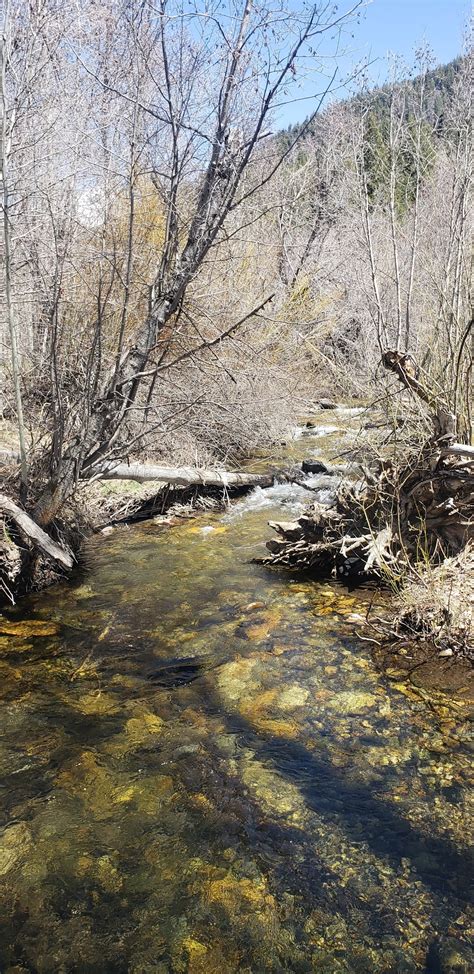 Sawmill Campground Id Camping Information And Reviews