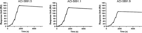 Binding Kinetics Of Aci 5891 Variants Determined By Spr Affinity