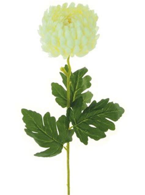 Large Mum Flower Home Interior Ts And Accessories Lusso House