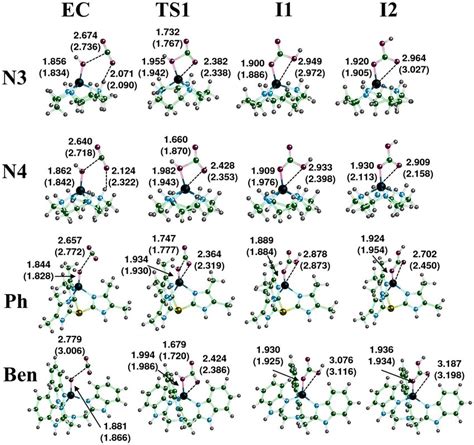 Calculated Structures For The Zinc Complexes Of N3 N4 Ph And Ben Download Scientific Diagram