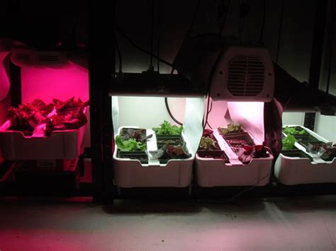 Set Up Of The Experiment In The Science Laboratory Download Scientific Diagram