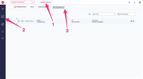 configure custom dns rules webmate docs