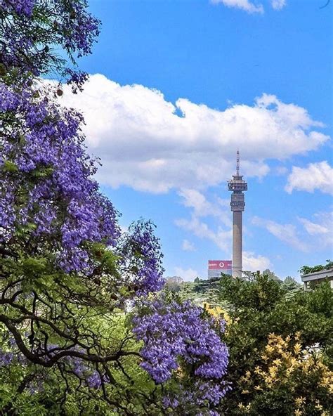 Tasneemsphotography Happy Friday ~ Jummah Mubarak 💜 Enjoy The Pretty
