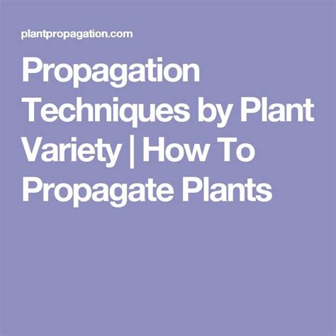 Propagation Techniques By Plant Variety How To Propagate Plants
