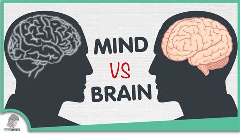 Whats The Difference Between The Mind And The Brain Life Set Go