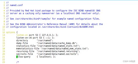 保姆级教学 linux下搭建dns服务 超详细！ linux配置dns csdn博客