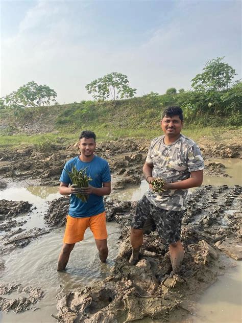 biswajeet samal on linkedin mangroves paradeepcoast