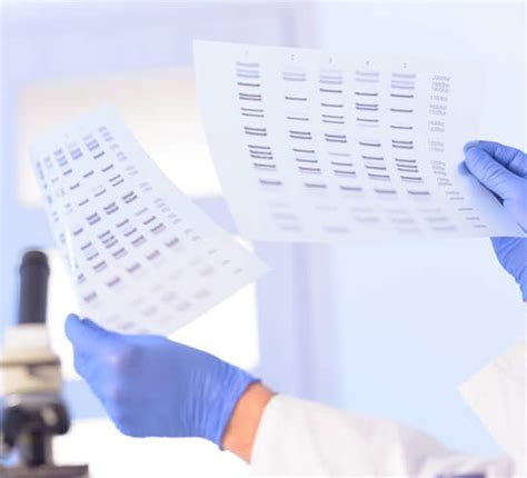 Test 05 Lifelabs Genetics