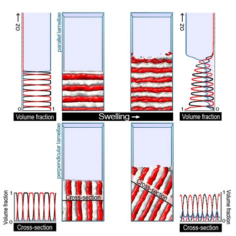 Psmtlab Polymer Films
