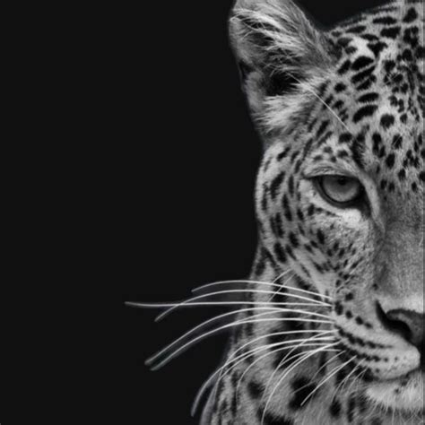 •gogo Gf♥️🐆• Gogo Gf Snapchat Stories Spotlight And Lenses