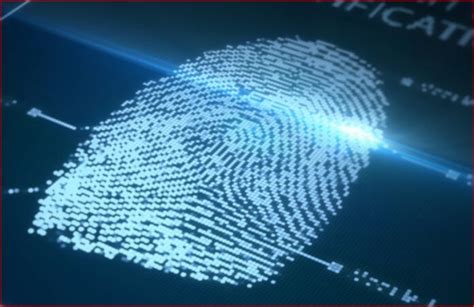 Biometric Identification Revolutionizing E Commerce Through Secure