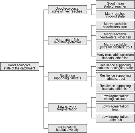objectives hierarchy for the ecological assessment at the catchment