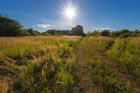 Летний солнечный пейзаж · бесплатная фотография от Denisark картинки и обои на рабочий стол