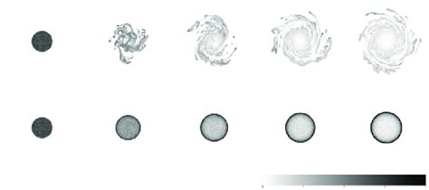 Isocontours Of Normalized Particle Volume Fraction φ P φ P With St