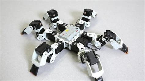 this insect inspired robot has people totally bugging