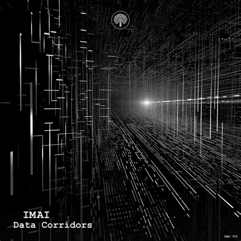 Data Corridors Imai Plexus Music