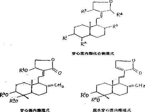 Andrographolide Compound Solubilizing Preparing Method And Medicinal